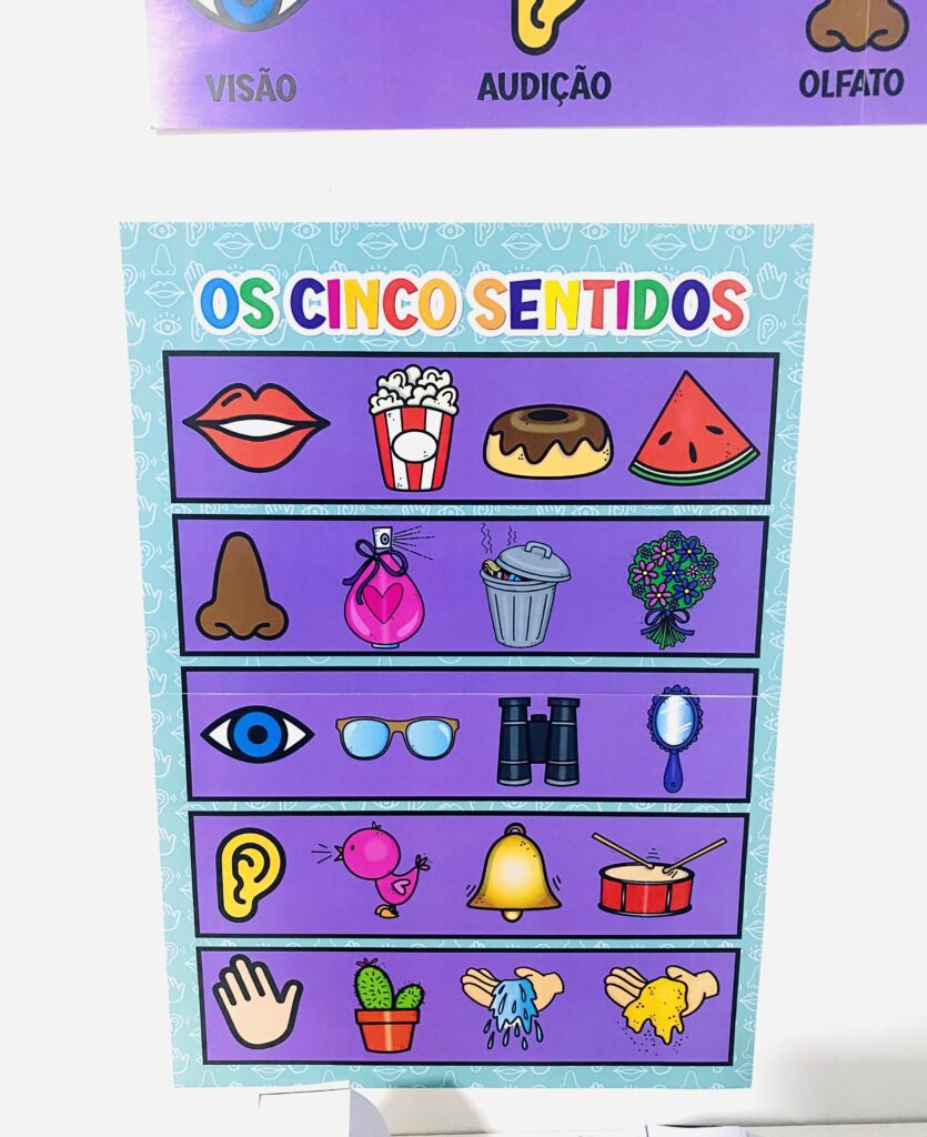 Kit os 5 sentidos – Abc da Scarlett – Materiais pedagógicos Digital